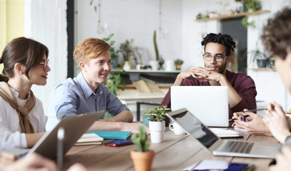 Curso Desenvolvimento Software SEM programação por NoCode Institute