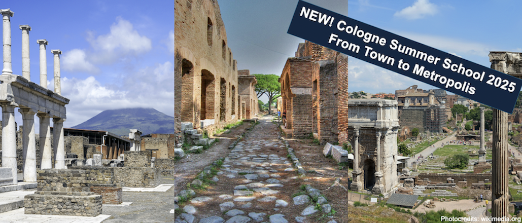 Stipendium From Town to Metropolis: Exploring the Diversity of Urban ...