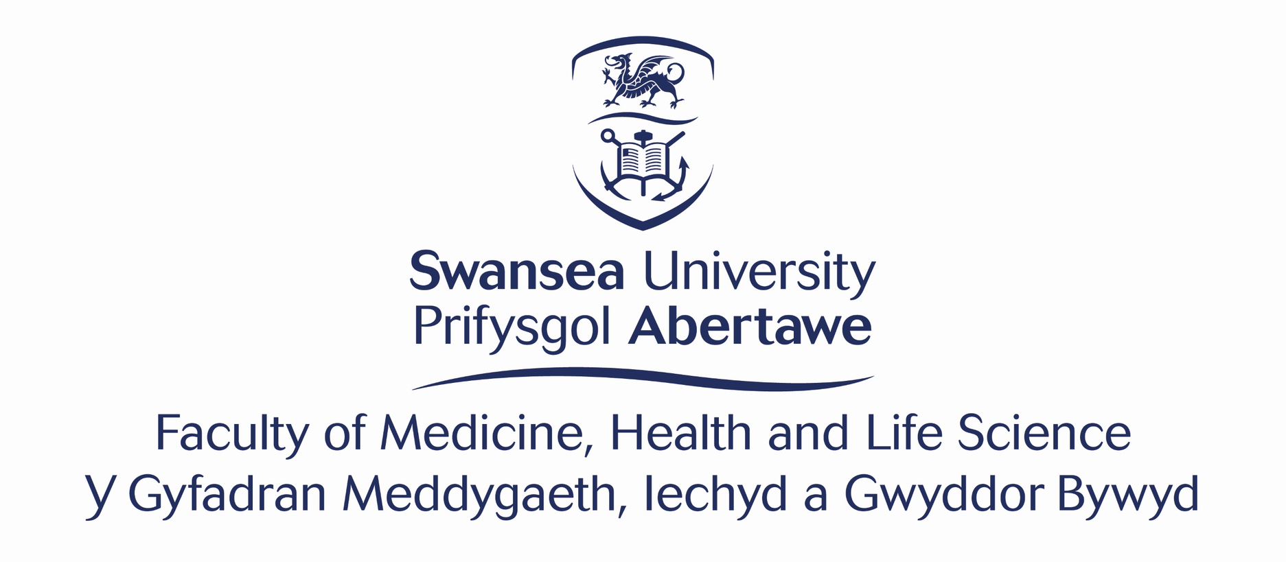 Scholarship Swansea University Internship Grant by Swansea University