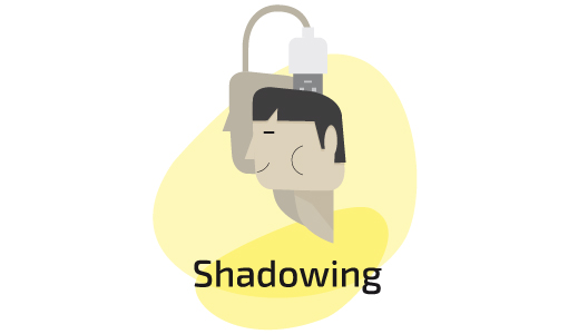 Beca Programa mentorización Shadowing (3ª edición) por Universitat de ...