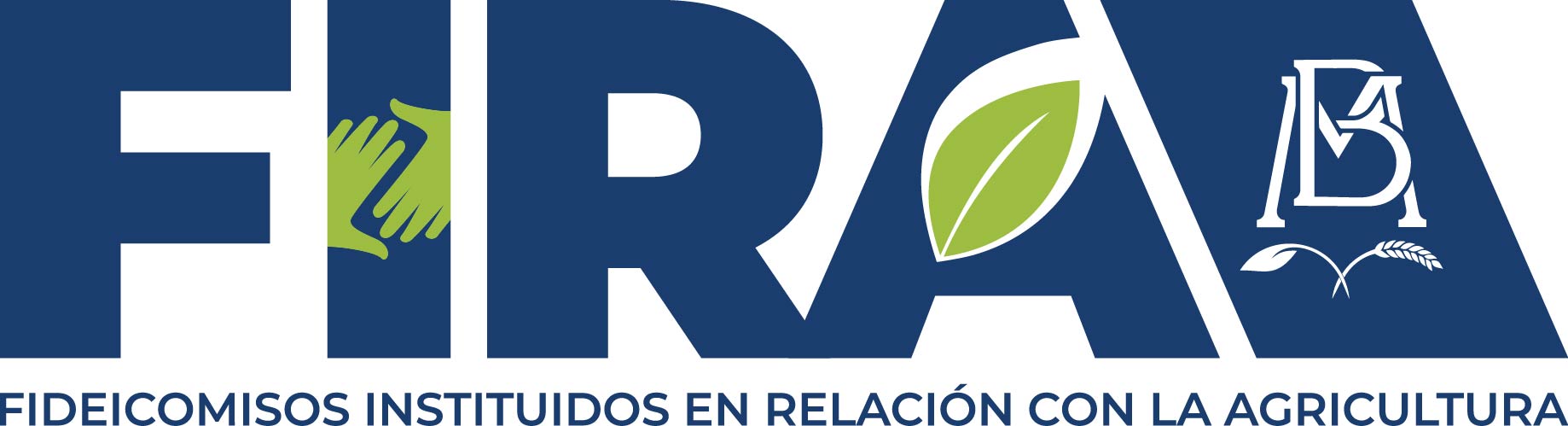 Curso Santander | Formación Estratégica FIRA: Segunda edición ...