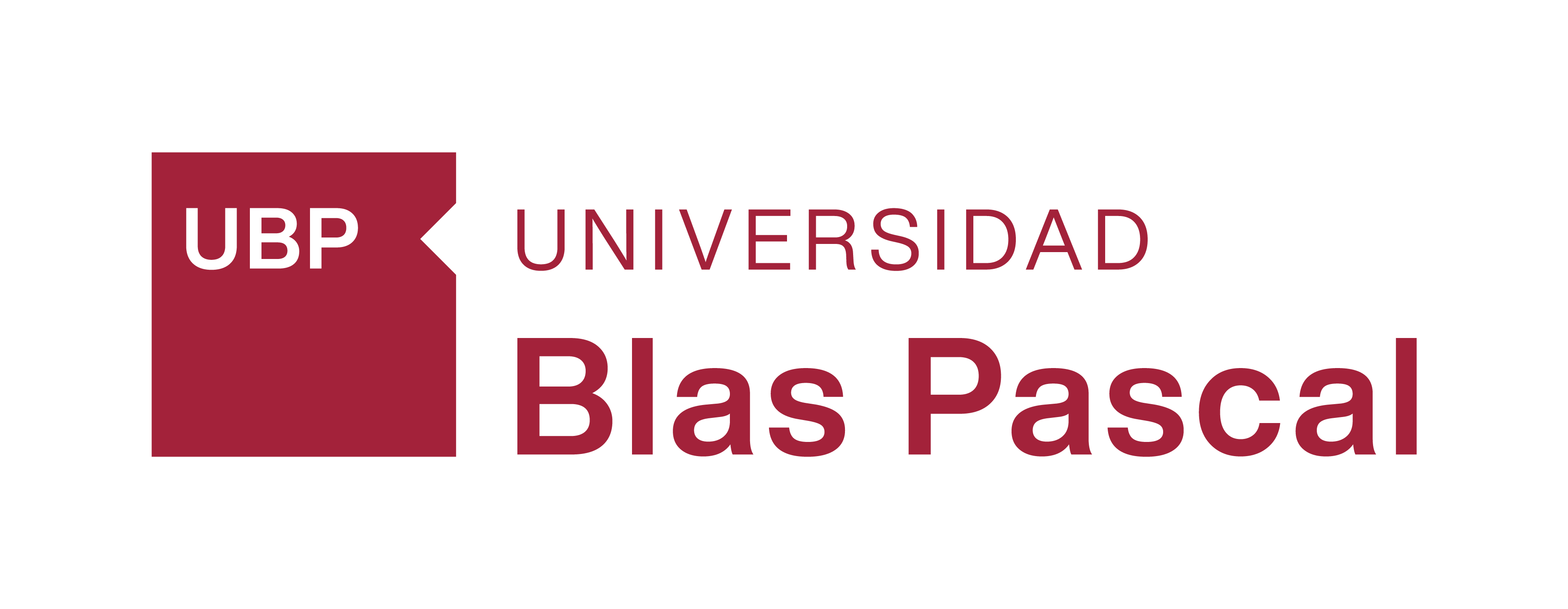 Curso Transformación Digital 2025 por Universidad Blas Pascal